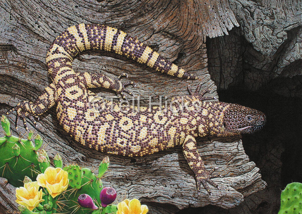 Mexican Beaded Lizard [SOLD OUT] - Tell Hicks