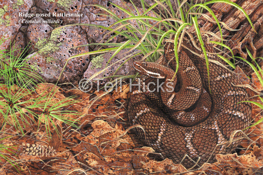 Online Shop - Tell Hicks